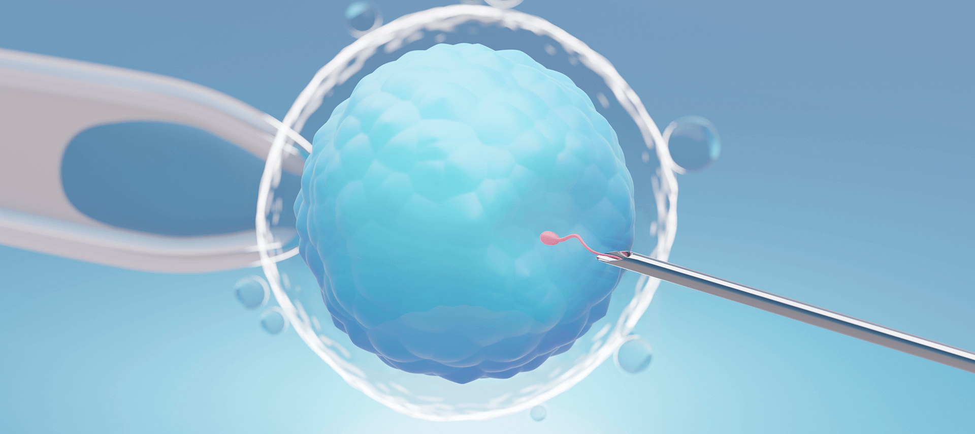 ICSI - Procreate Fertility Center of Virginia | Infertility Clinic ...