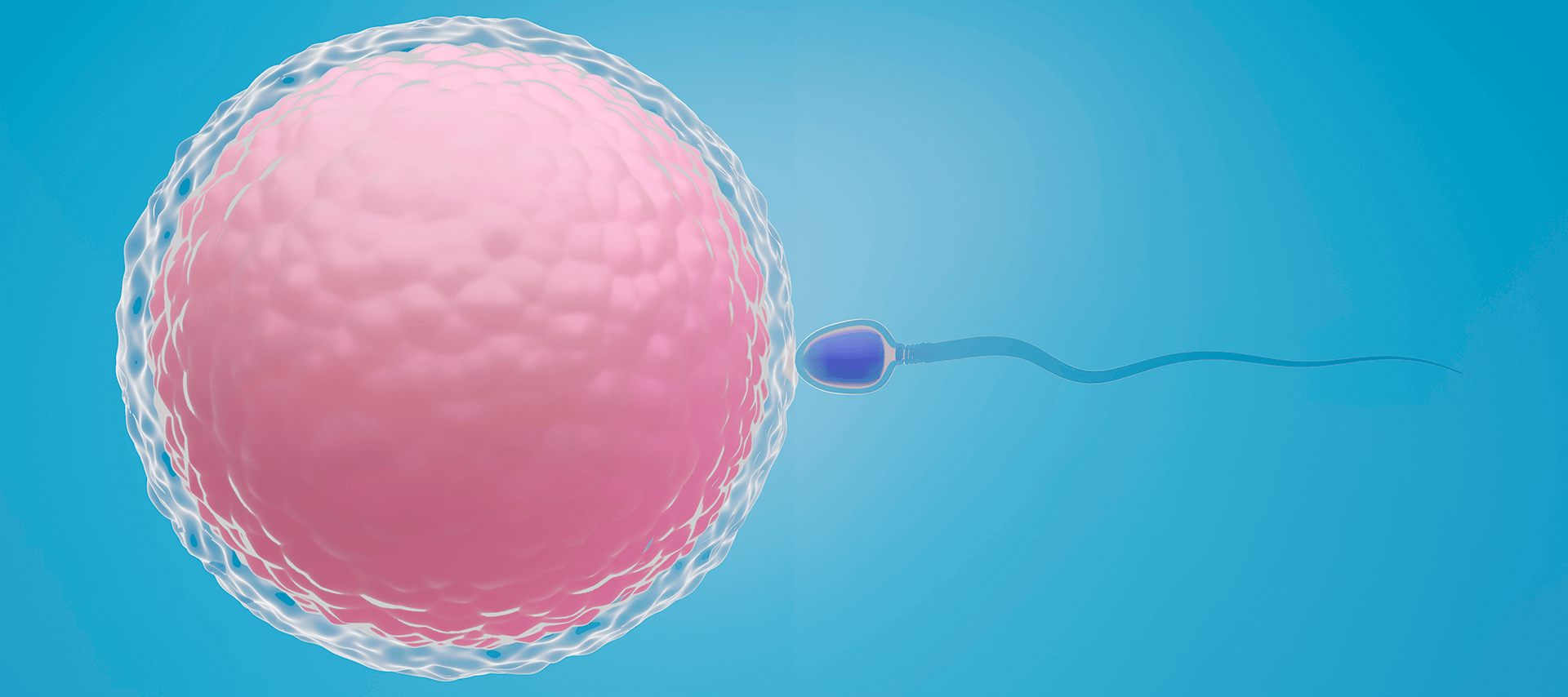 Mini IVF - Procreate Fertility Center of Virginia | Infertility Clinic ...
