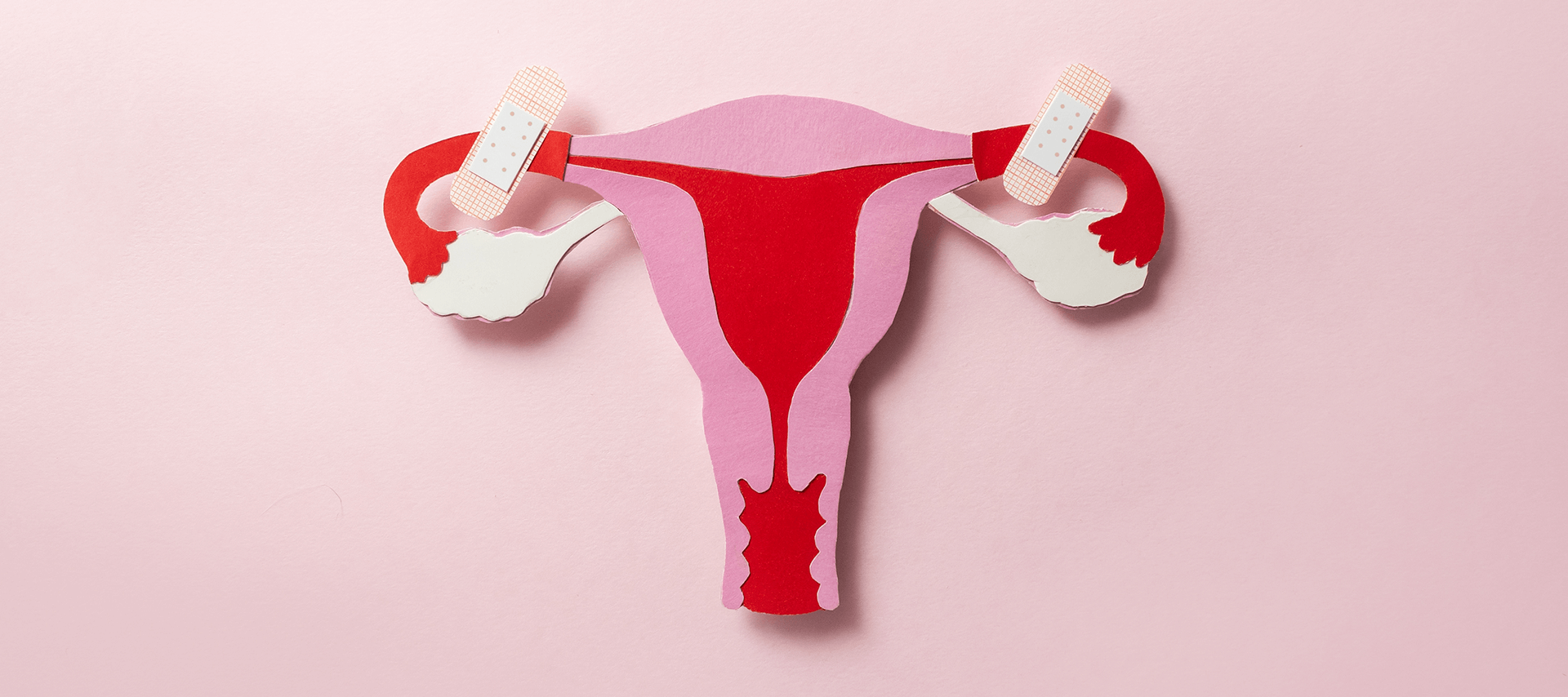 Tubal Reversal - Procreate Fertility Center of Virginia | Infertility ...